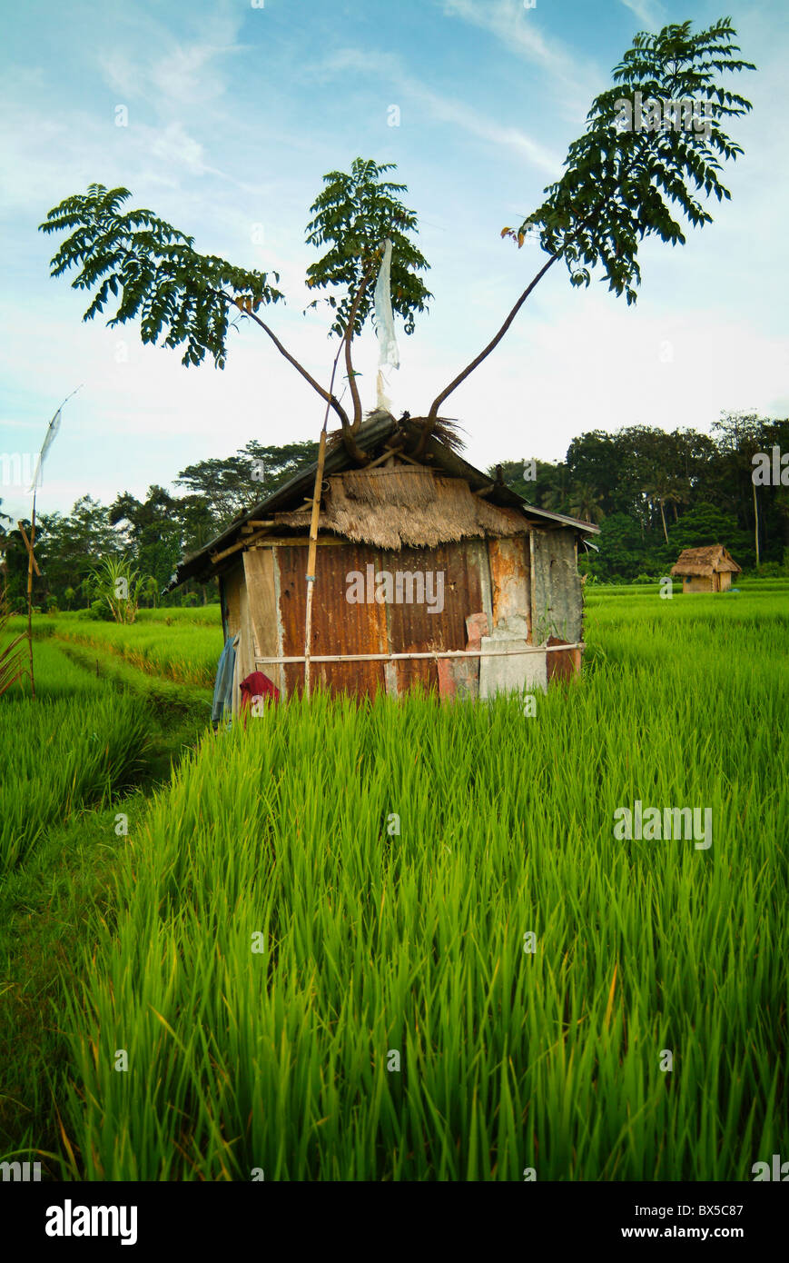 Nasi hill hi-res stock photography and images - Alamy