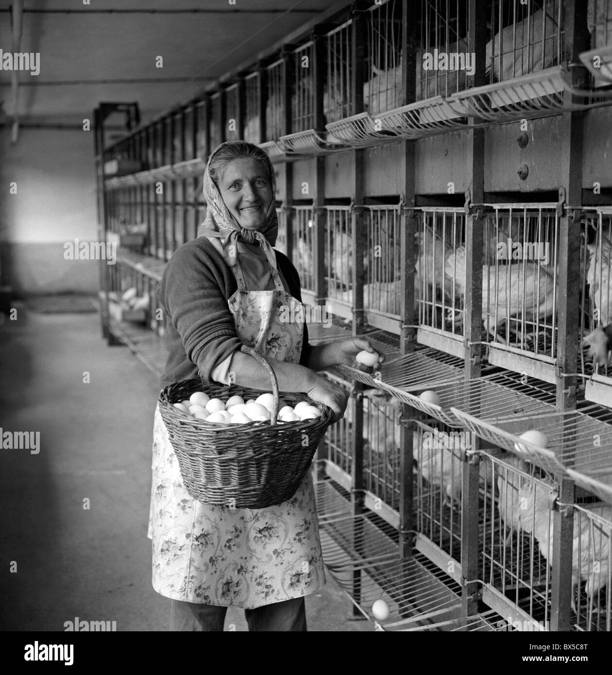 Chicken farmer communist propaganda hi-res stock photography and images ...