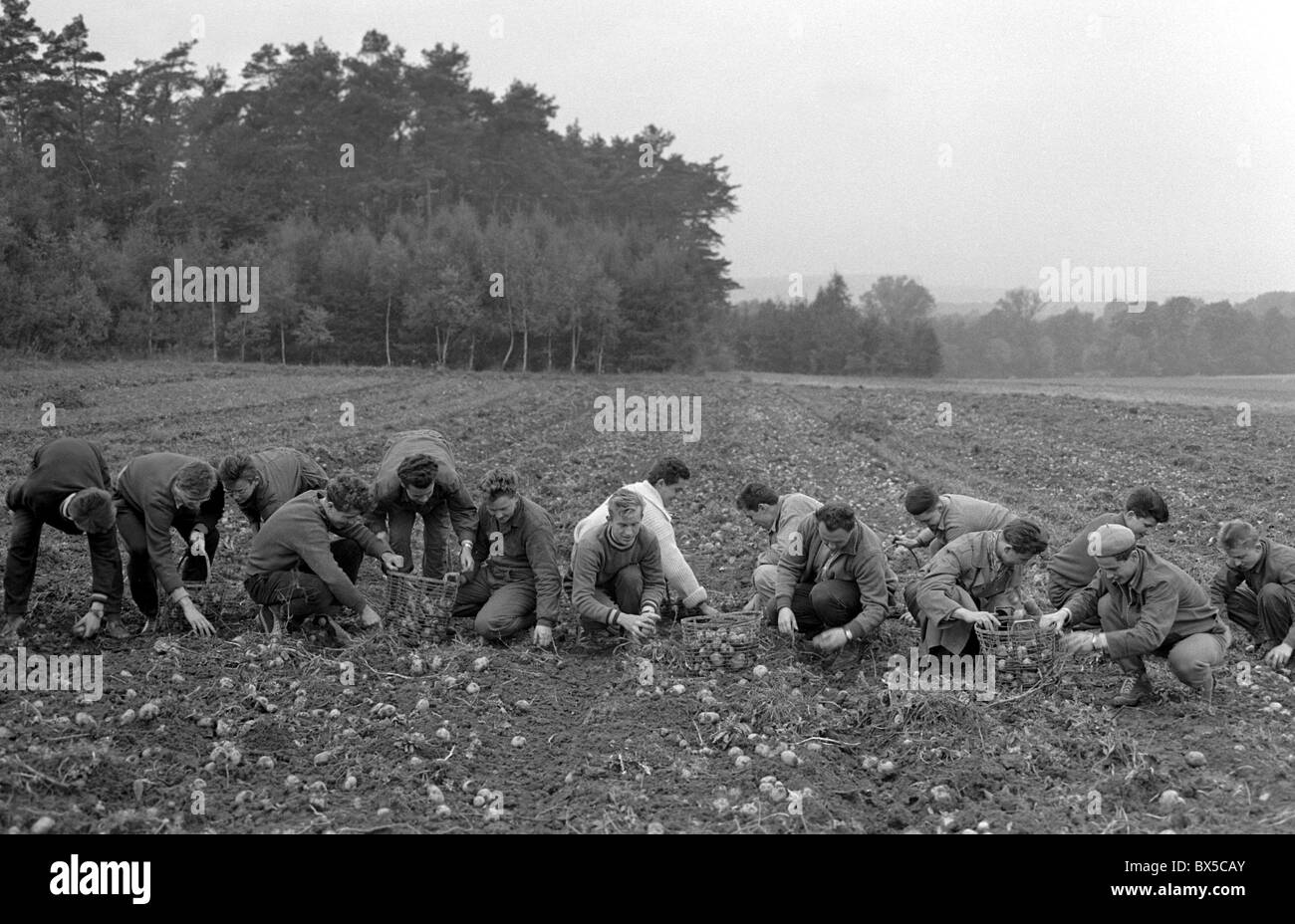 High school students volunteer Black and White Stock Photos & Images ...