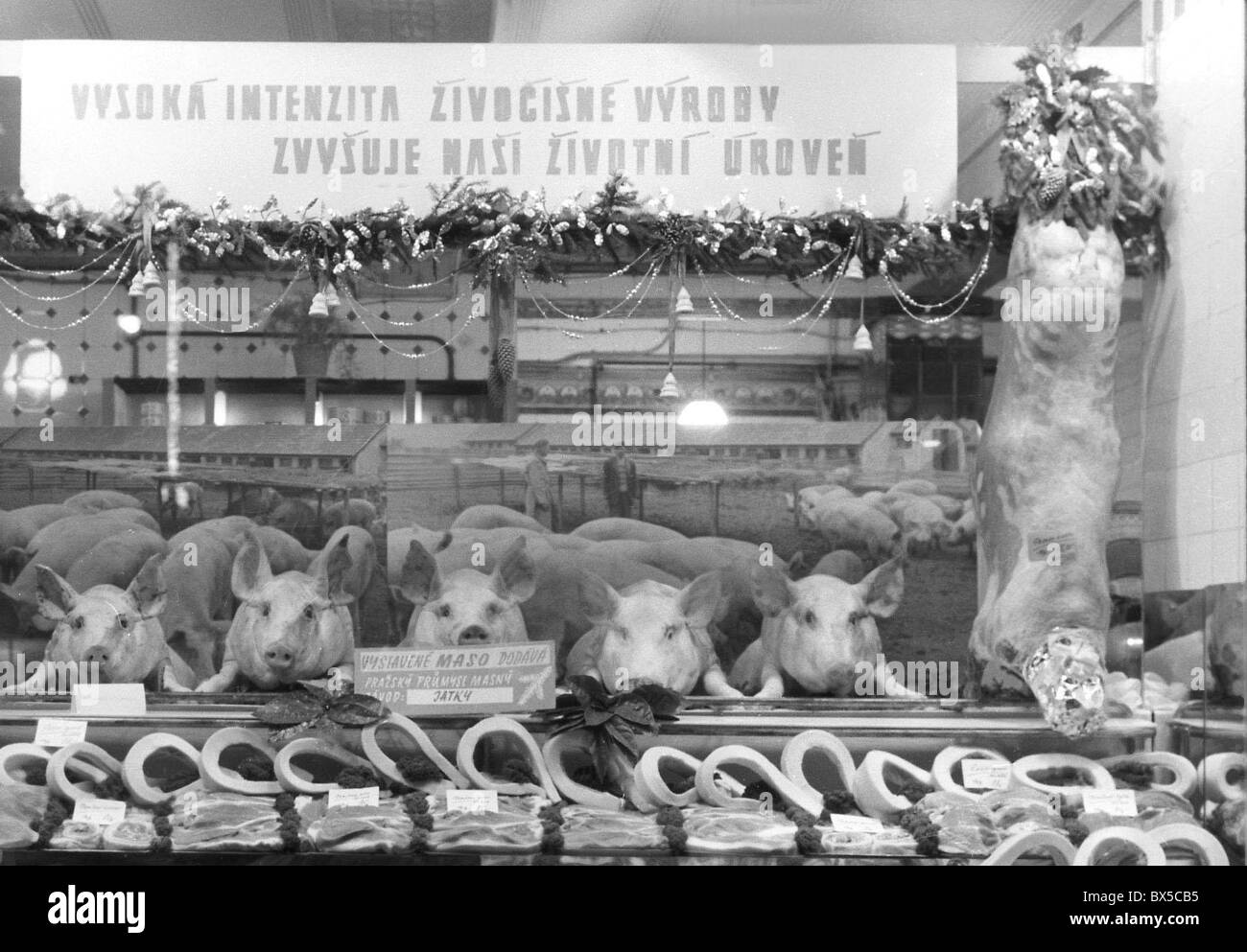 pig, pork, butcher Stock Photo - Alamy