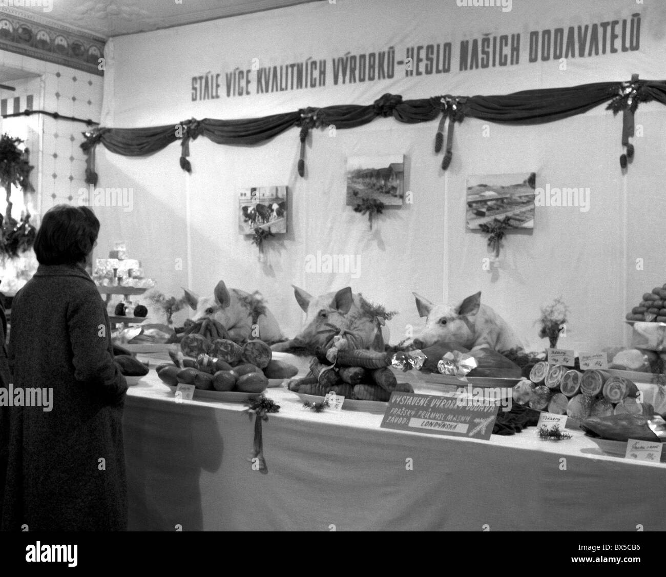 Pig heads hi-res stock photography and images - Alamy