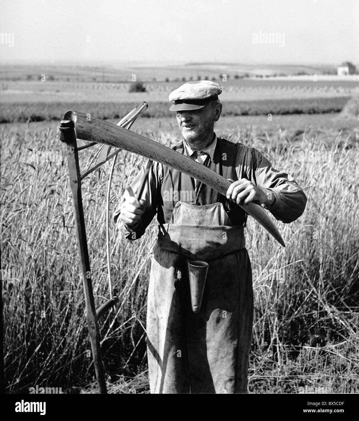 Scythe harvest Black and White Stock Photos & Images - Alamy