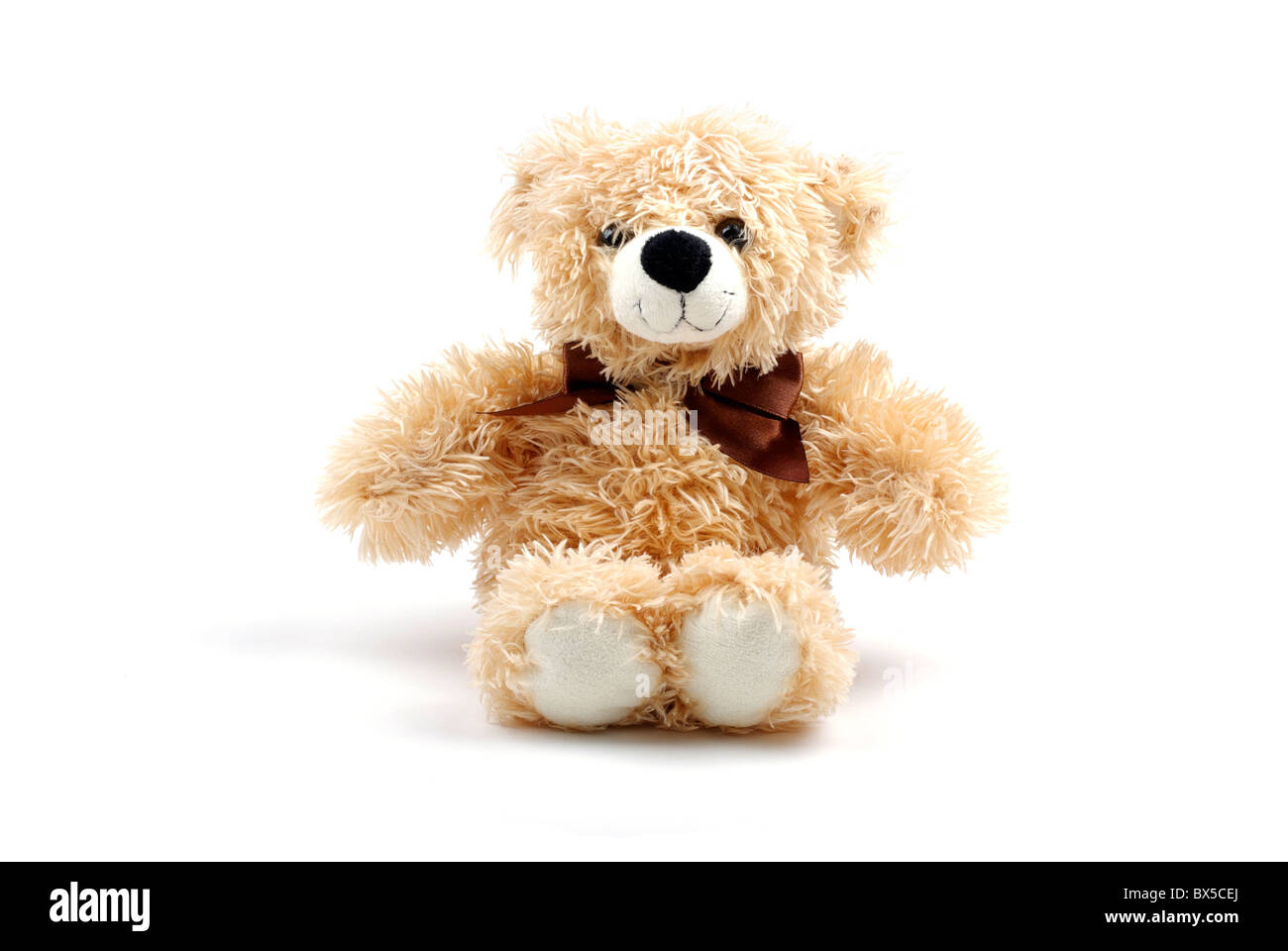 Brown teddy bear toy isolated on white background with shadow Stock ...
