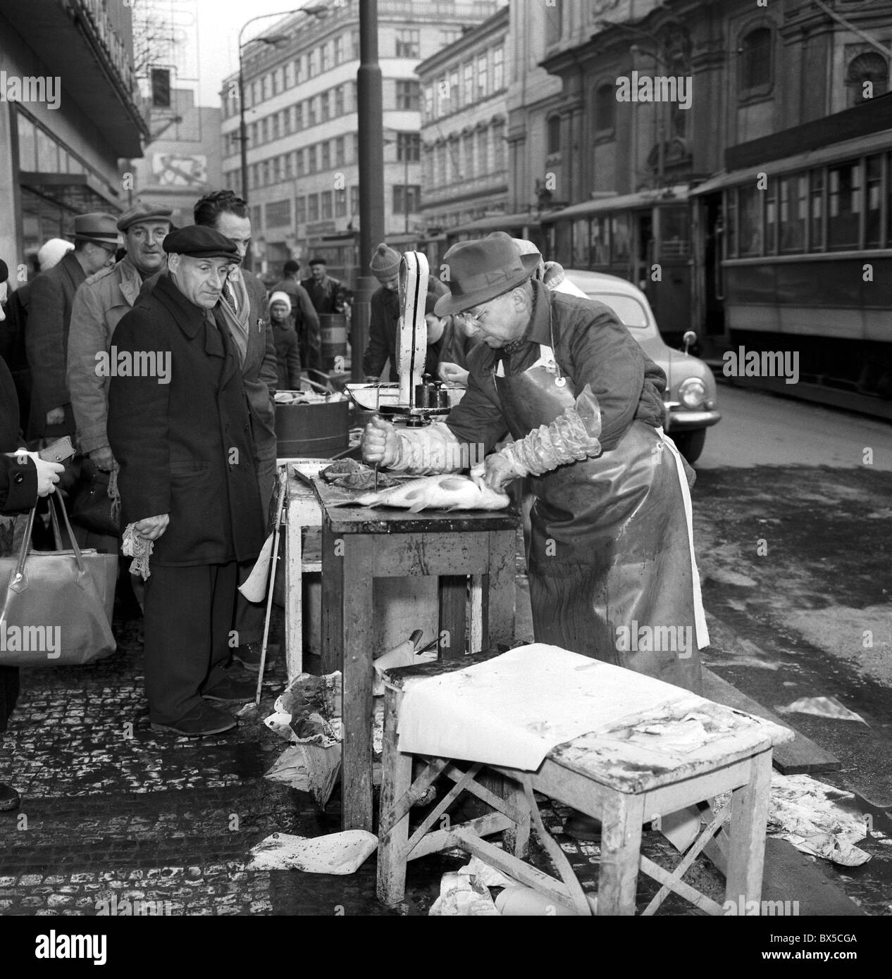 Live fish for slaughter hi-res stock photography and images - Alamy