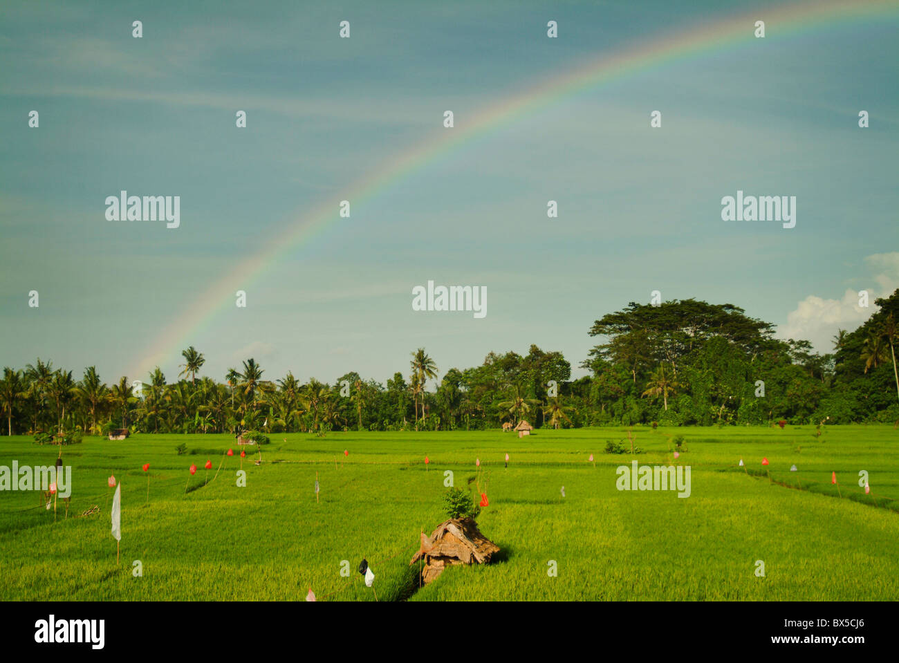 Drenching farm hi-res stock photography and images - Alamy