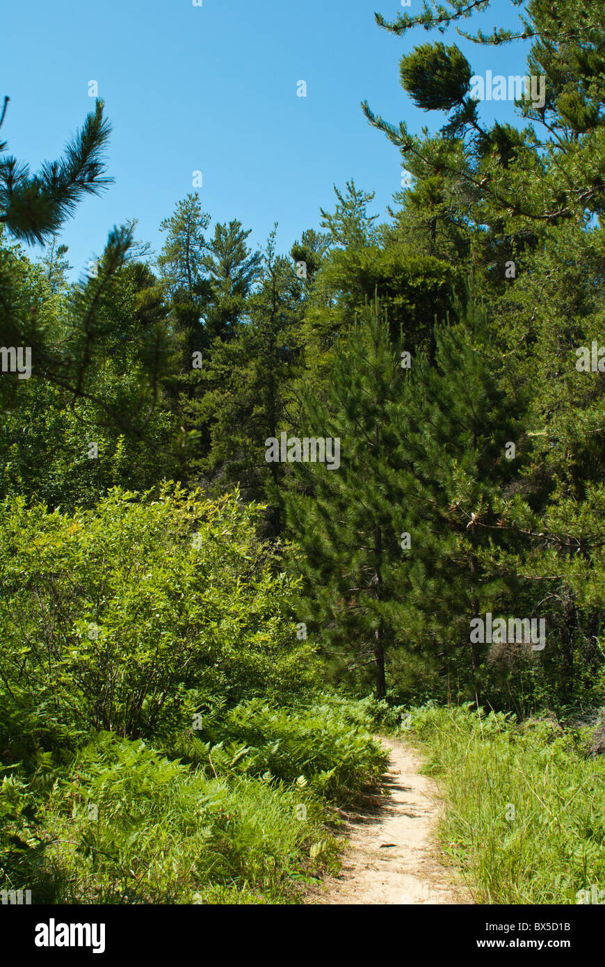 Grand beach provincial park lake hi-res stock photography and images ...
