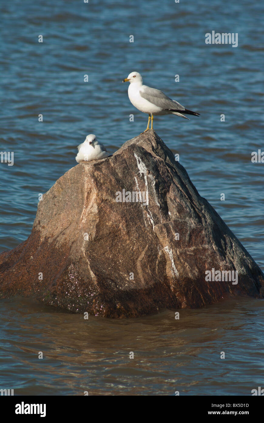 Grand Beach Provincial Park Manitoba High Resolution Stock Photography ...