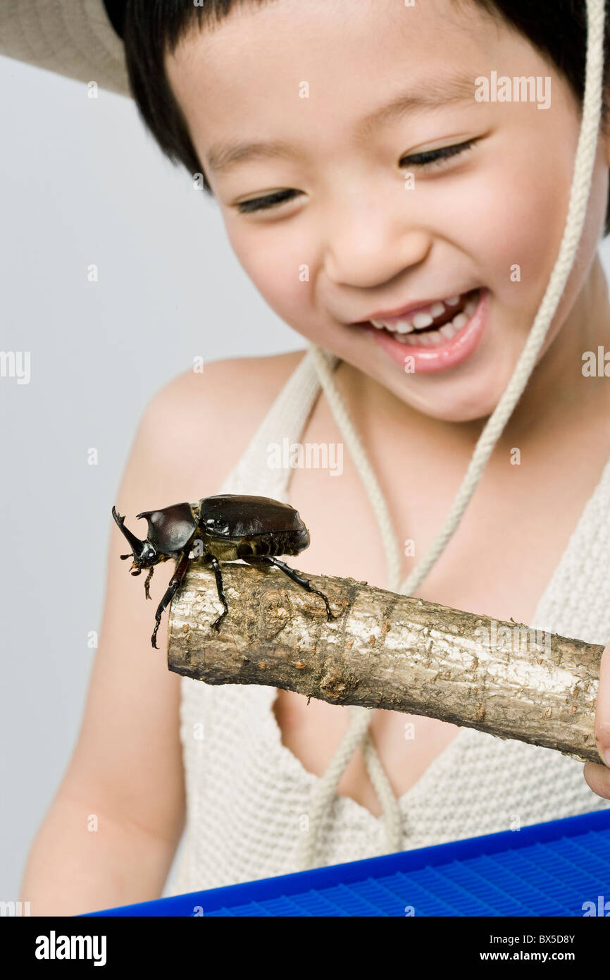 Boy Stick Insect High Resolution Stock Photography and Images - Alamy