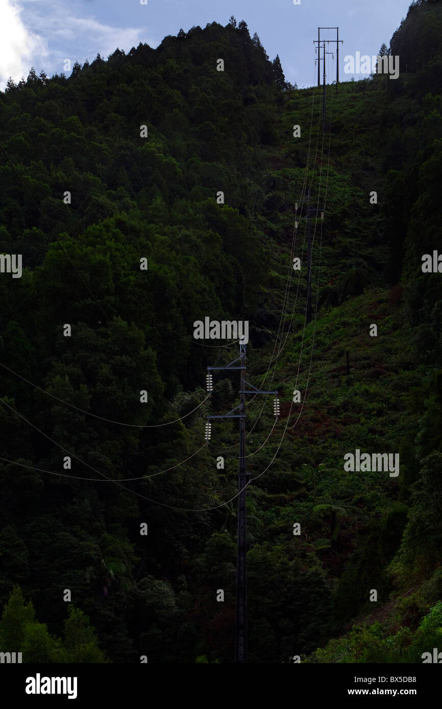 Power lines from a geothermal plant running through lush green hills in ...
