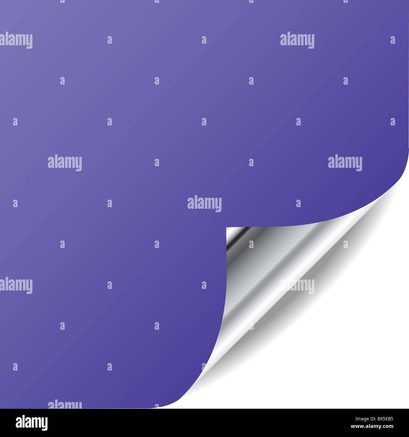 Vector violet page with curled corner and shadow. Perfect for adding ...
