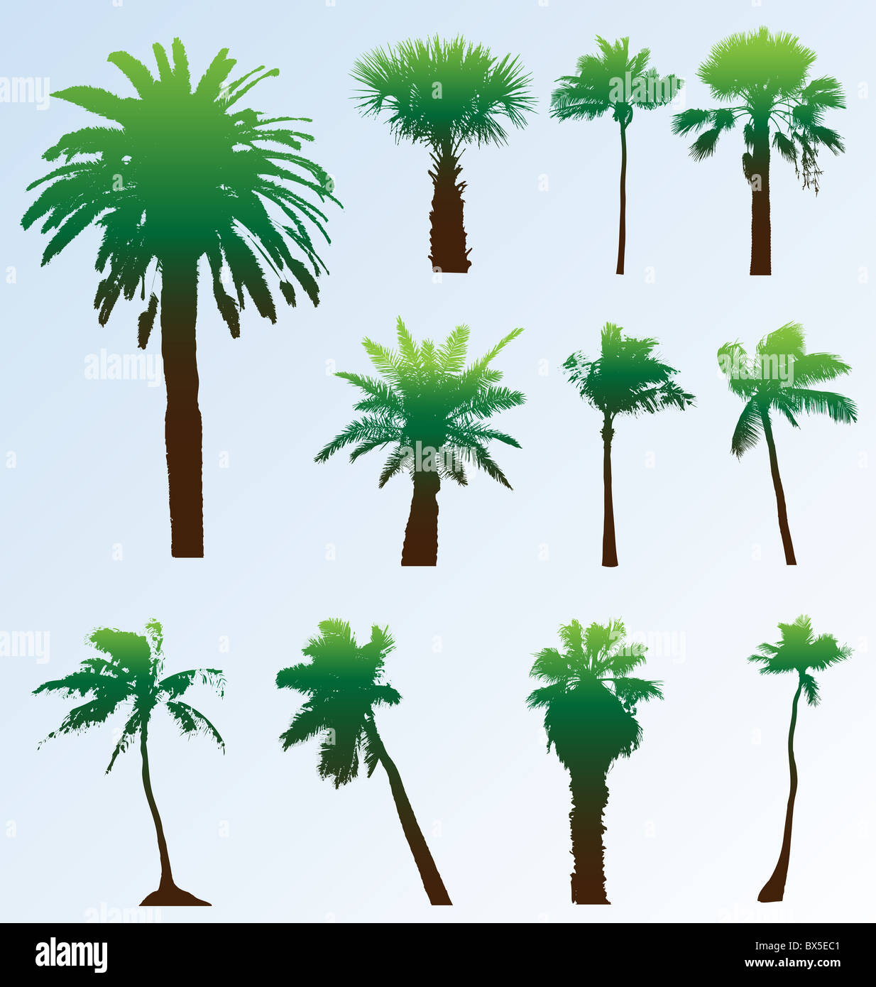 Collection of vector palm trees silhouettes. Easy to edit, any size ...