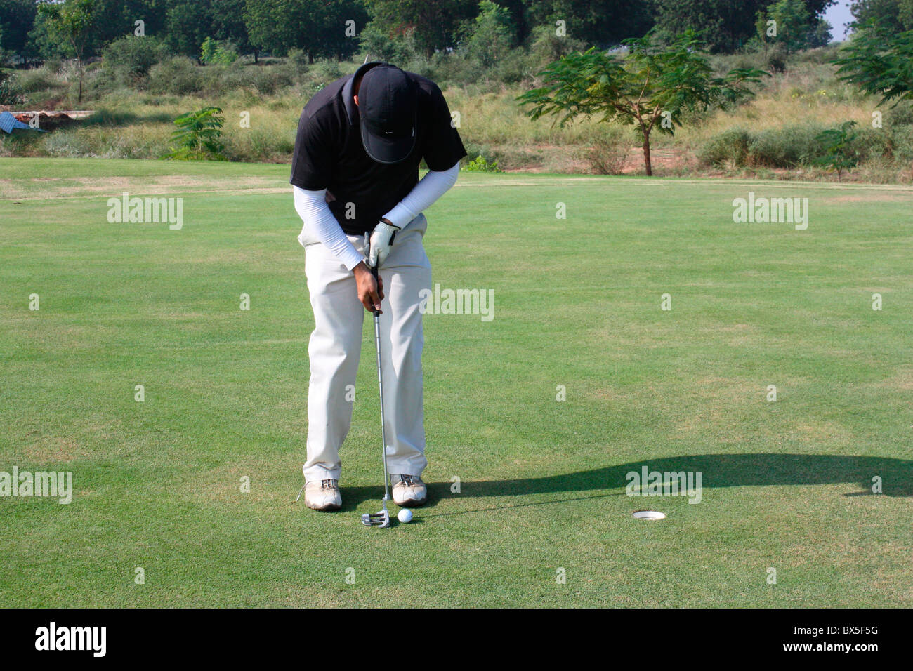 A golfer putting ball Stock Photo - Alamy