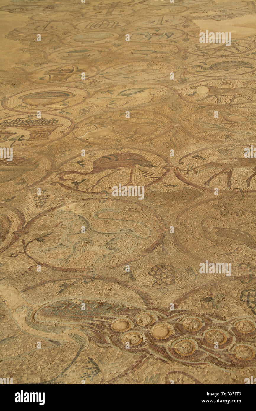 Israel, Negev, mosaic at the ancient Synagogue of Hurvat Maon Stock ...