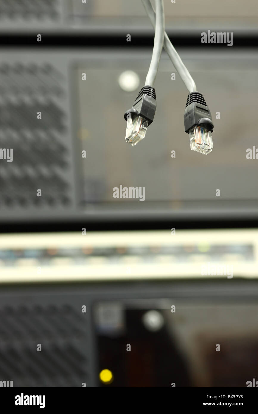 Two internet cables Stock Photo - Alamy