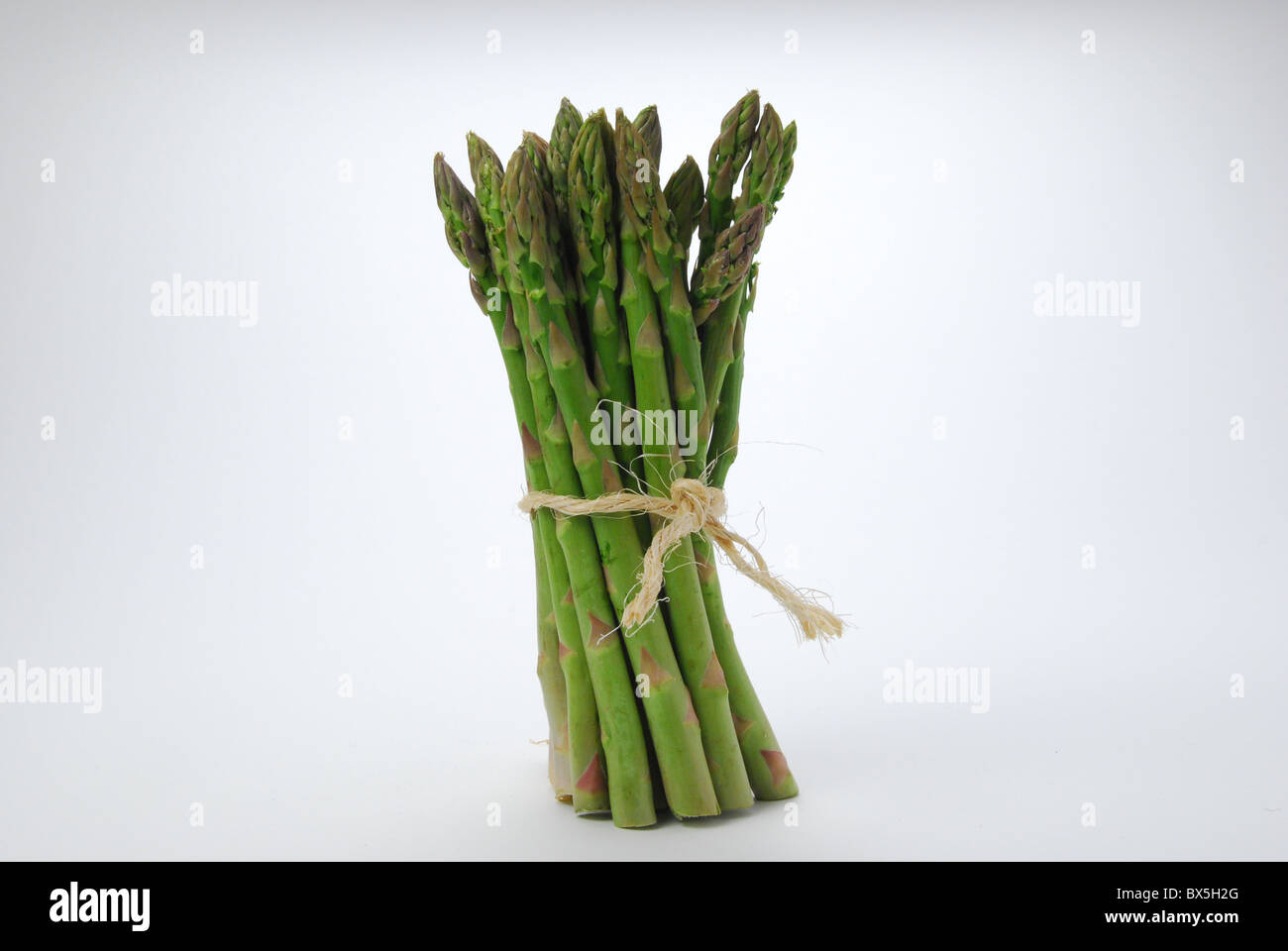 ASPARAGUS (genus) bunched and tied with string Stock Photo - Alamy