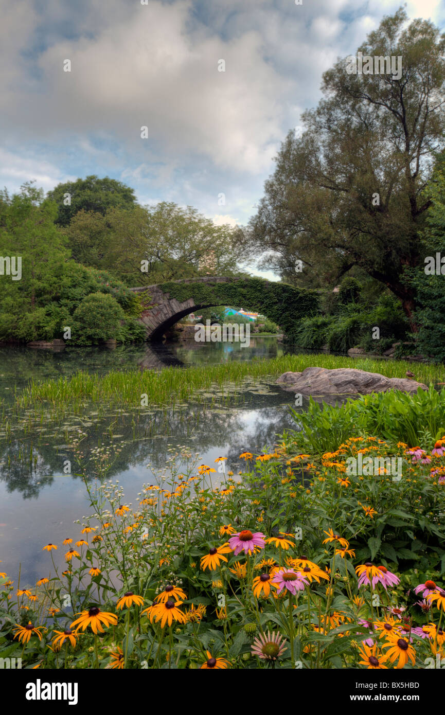 Central Park - New York City flowers in summer Stock Photo - Alamy