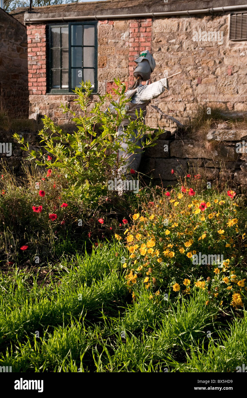 Cauldwell Mill Rowsley near Bakewell Derbyshire Peak District England ...