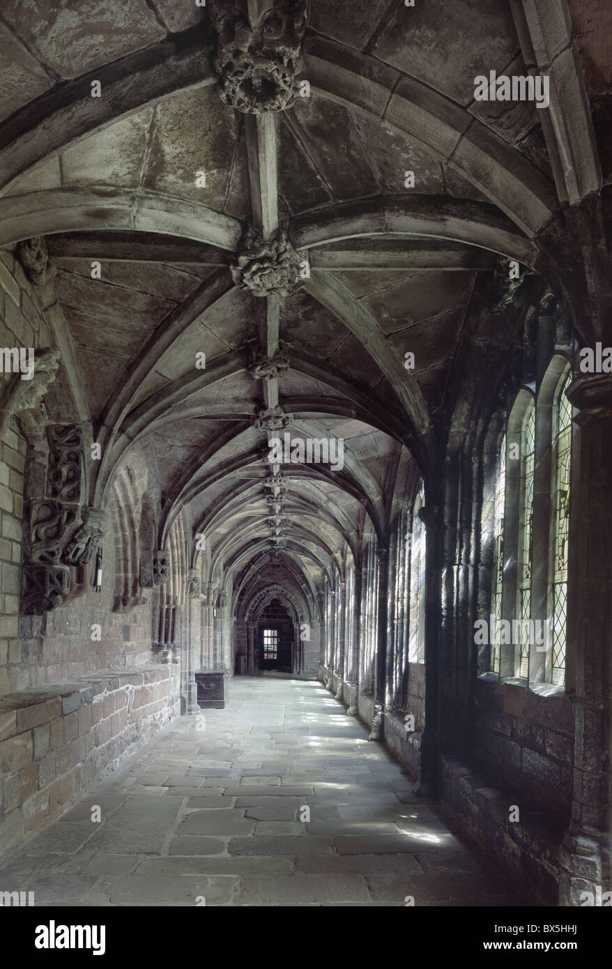 Lavatorium High Resolution Stock Photography and Images - Alamy