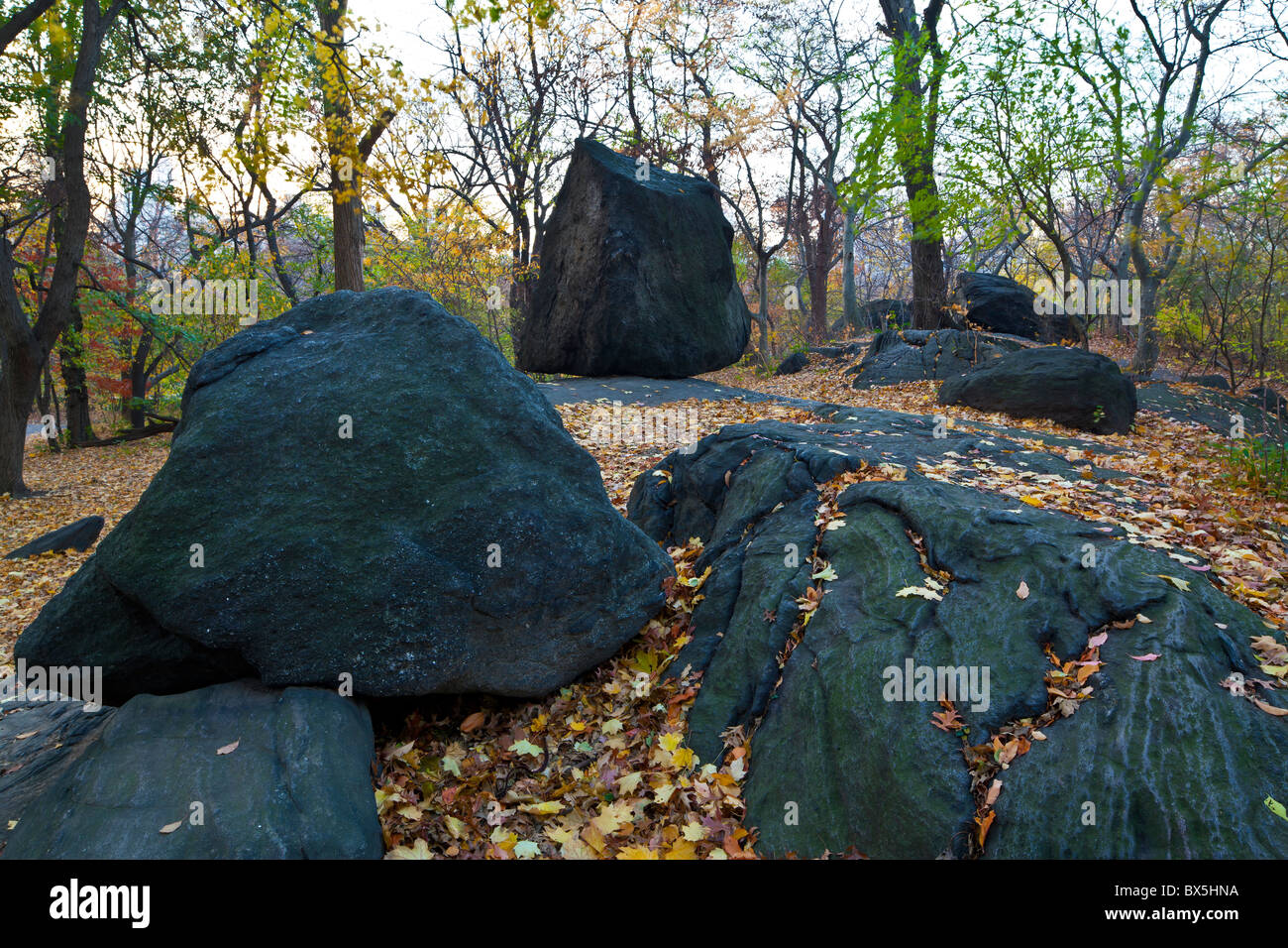 Rocks in Autumn in Central Park, New York City Stock Photo - Alamy