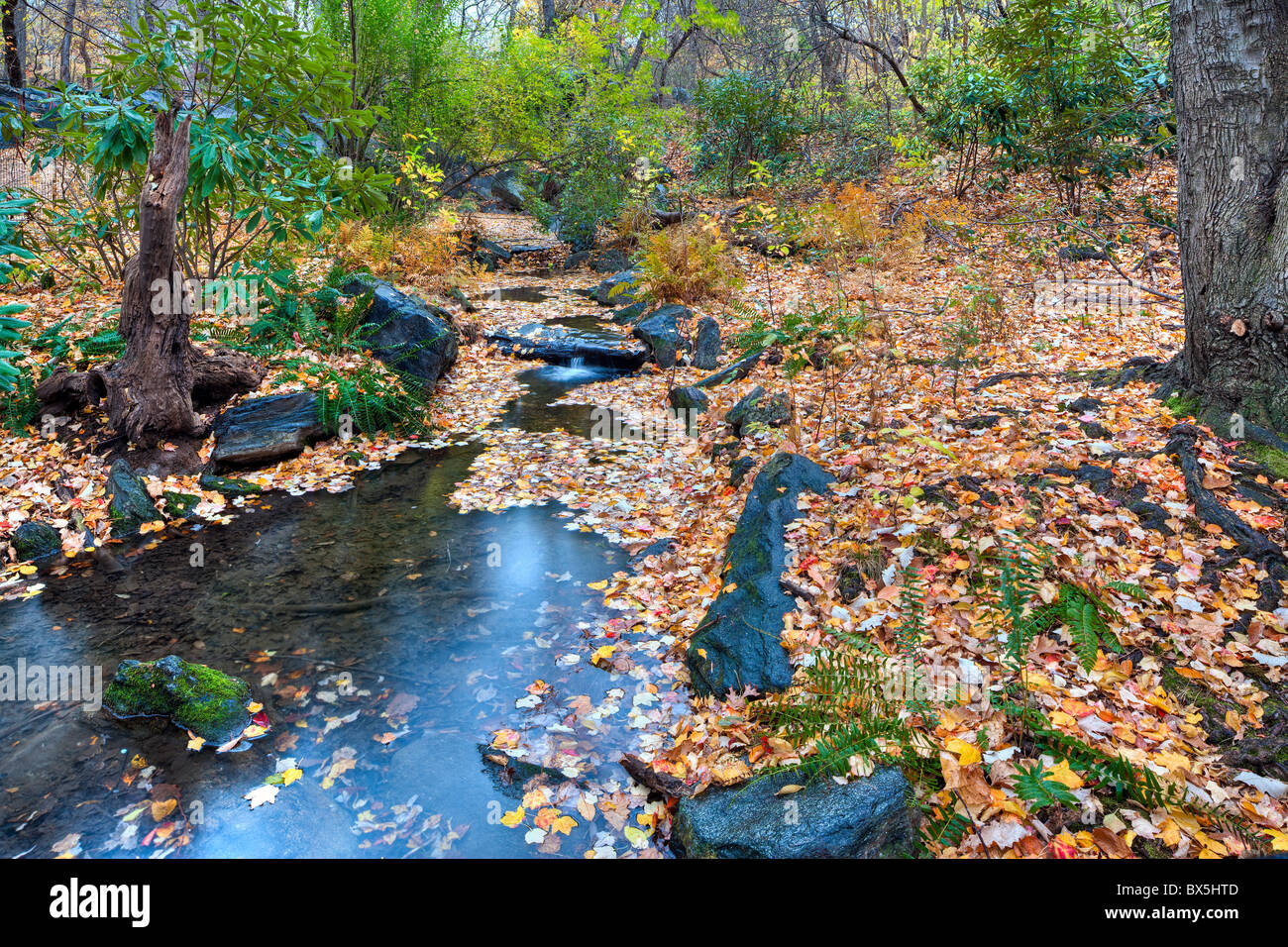 City water stream hi-res stock photography and images - Alamy