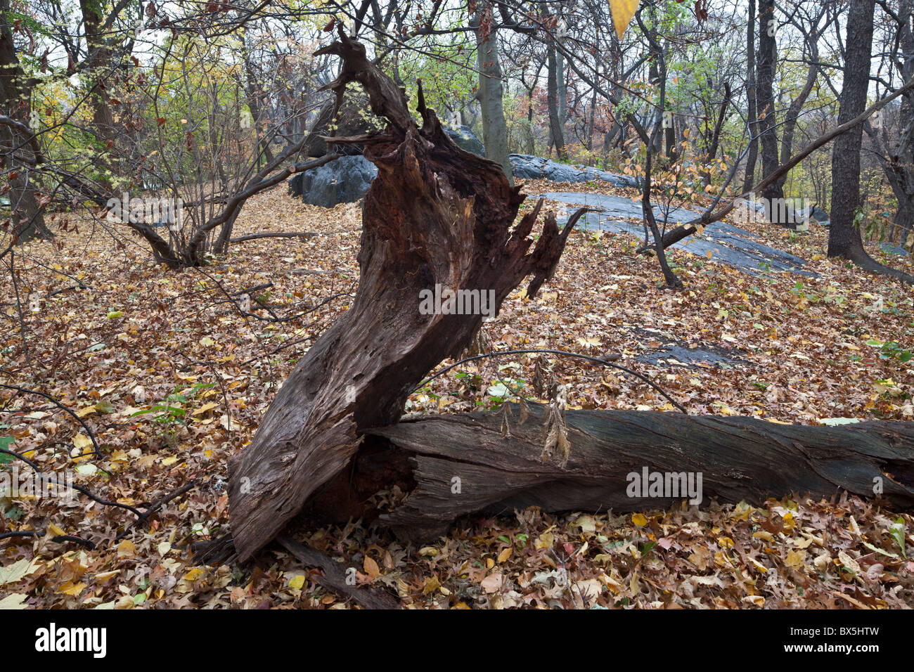 Decaying city hi-res stock photography and images - Alamy