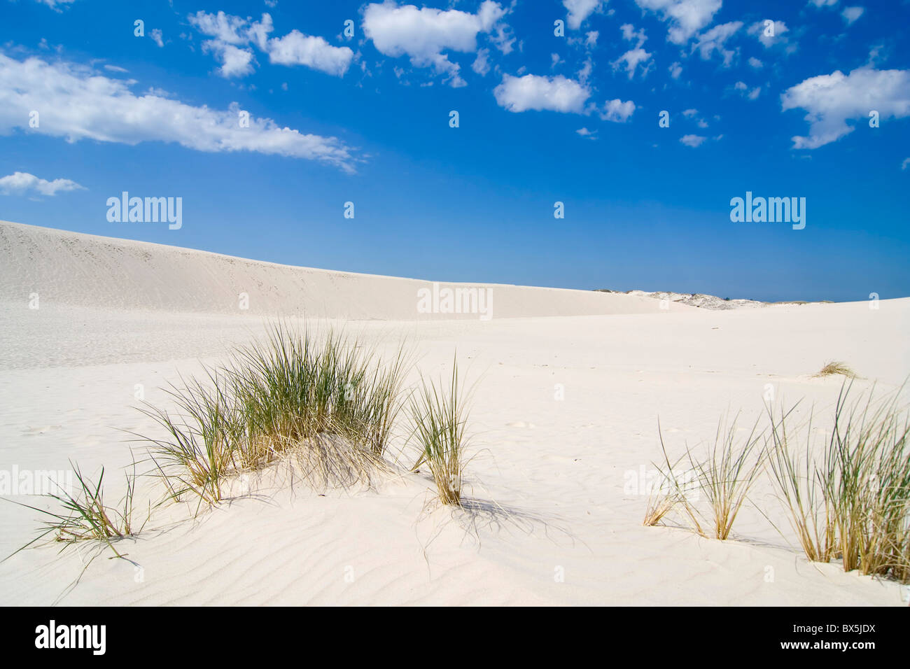the landscape on desert Leba - Poland Stock Photo - Alamy