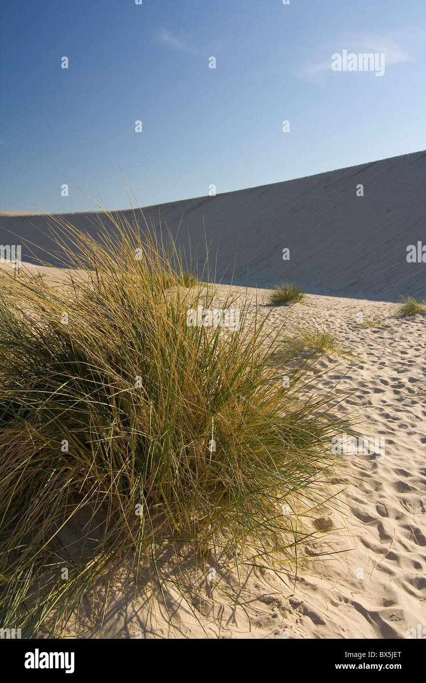 The desert Leba - Poland Stock Photo - Alamy