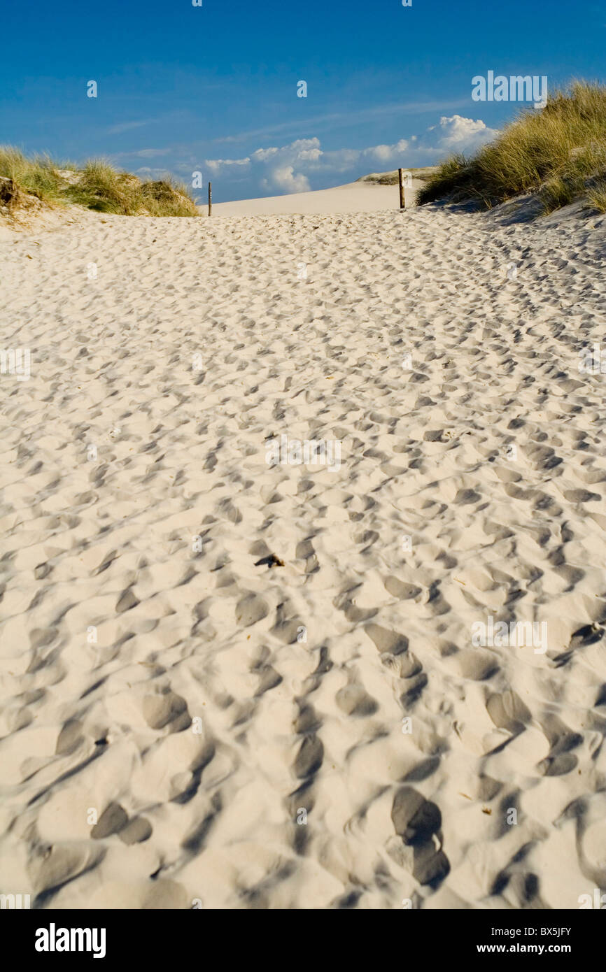The desert Leba - Poland Stock Photo - Alamy