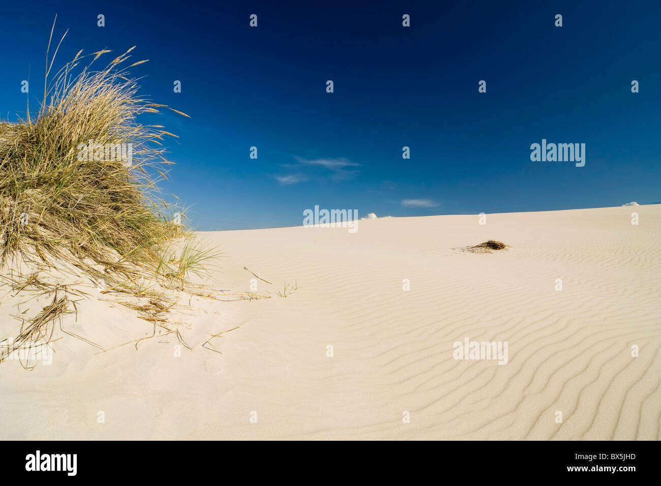 The desert Leba - Poland Stock Photo - Alamy