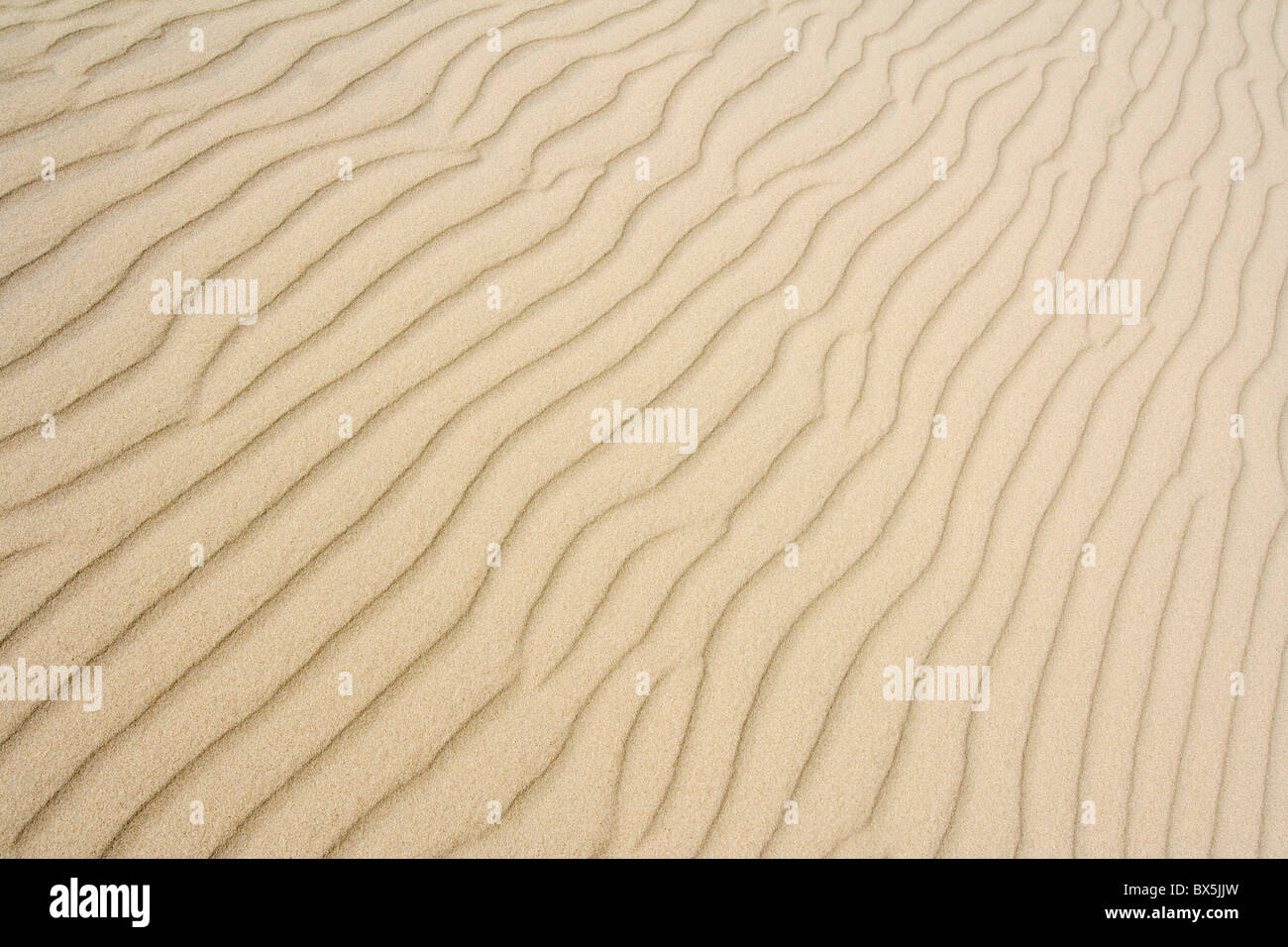 The sand structure on desert Stock Photo - Alamy
