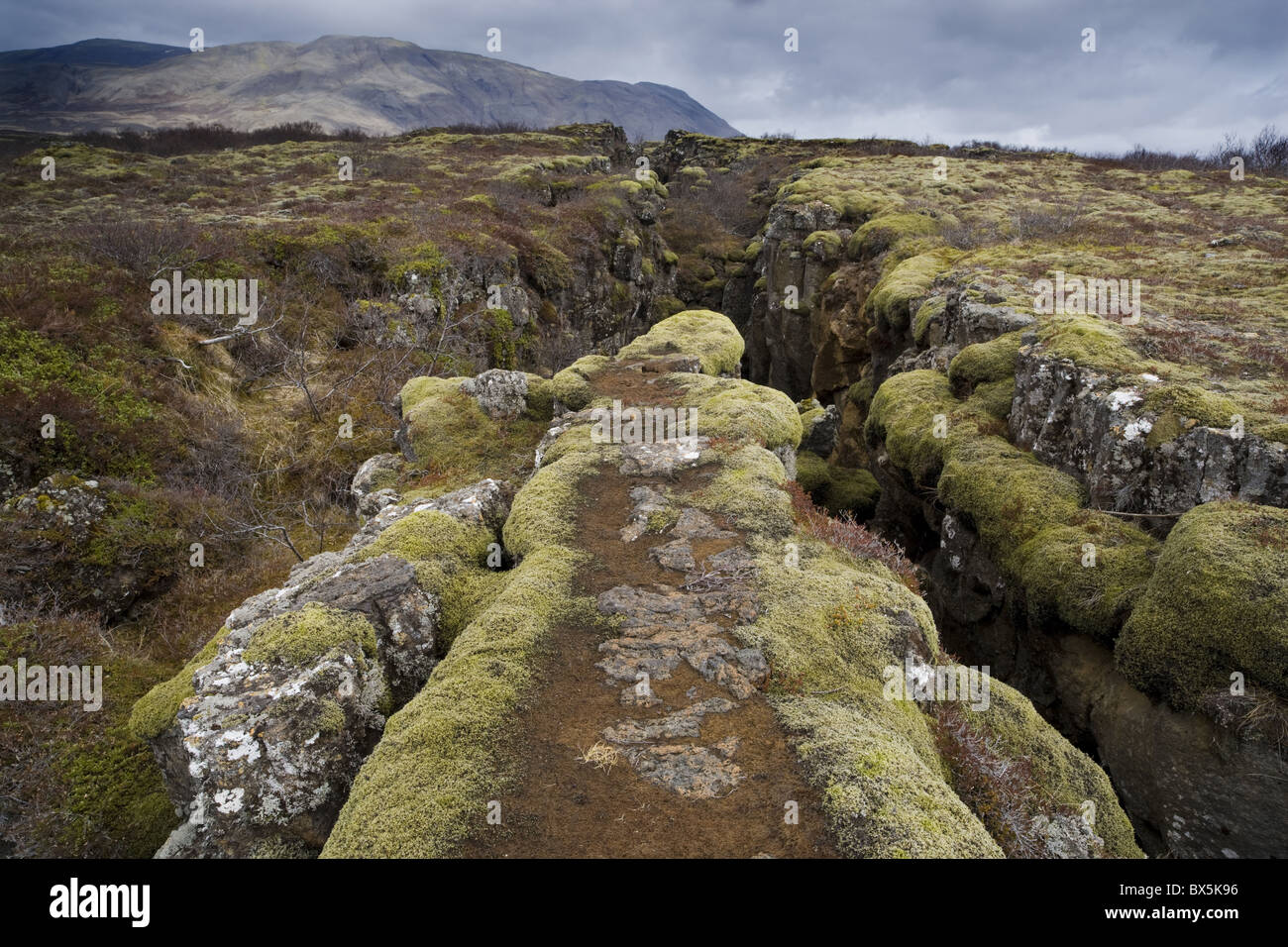 Fault in the landscape caused by continental drift, at Thingvellir ...