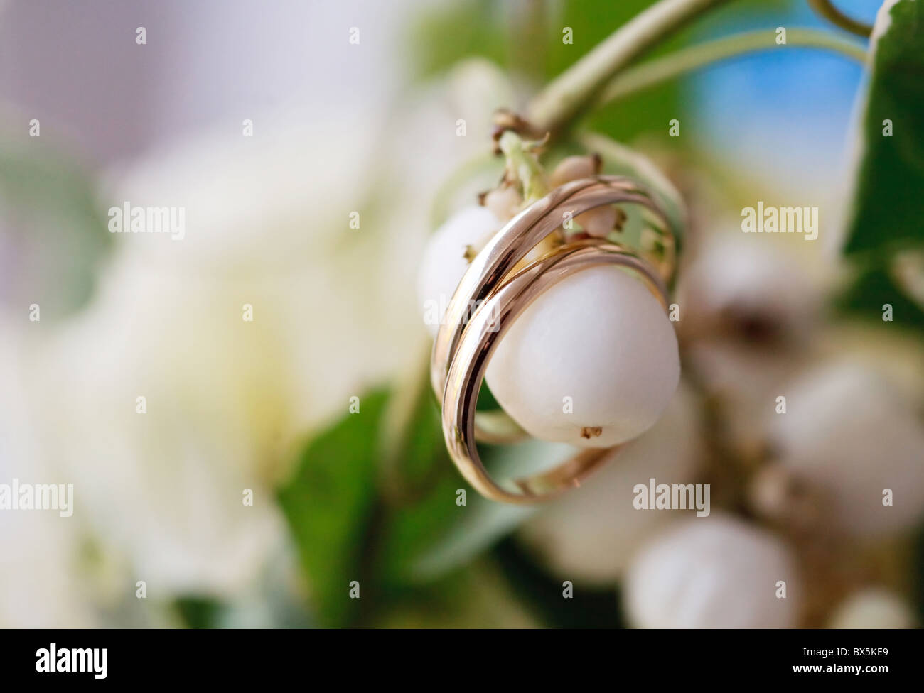 Wedding rings on the flowers Stock Photo - Alamy