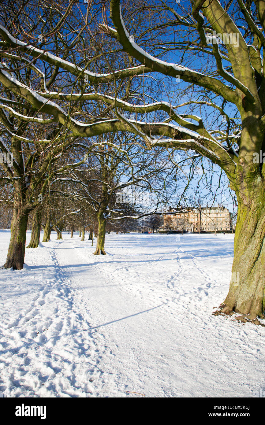 Harrogate stray snow hi-res stock photography and images - Alamy