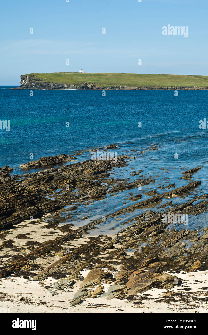 dh Brough of Birsay BIRSAY ORKNEY Birsay Bay rocky sea shore Stock ...