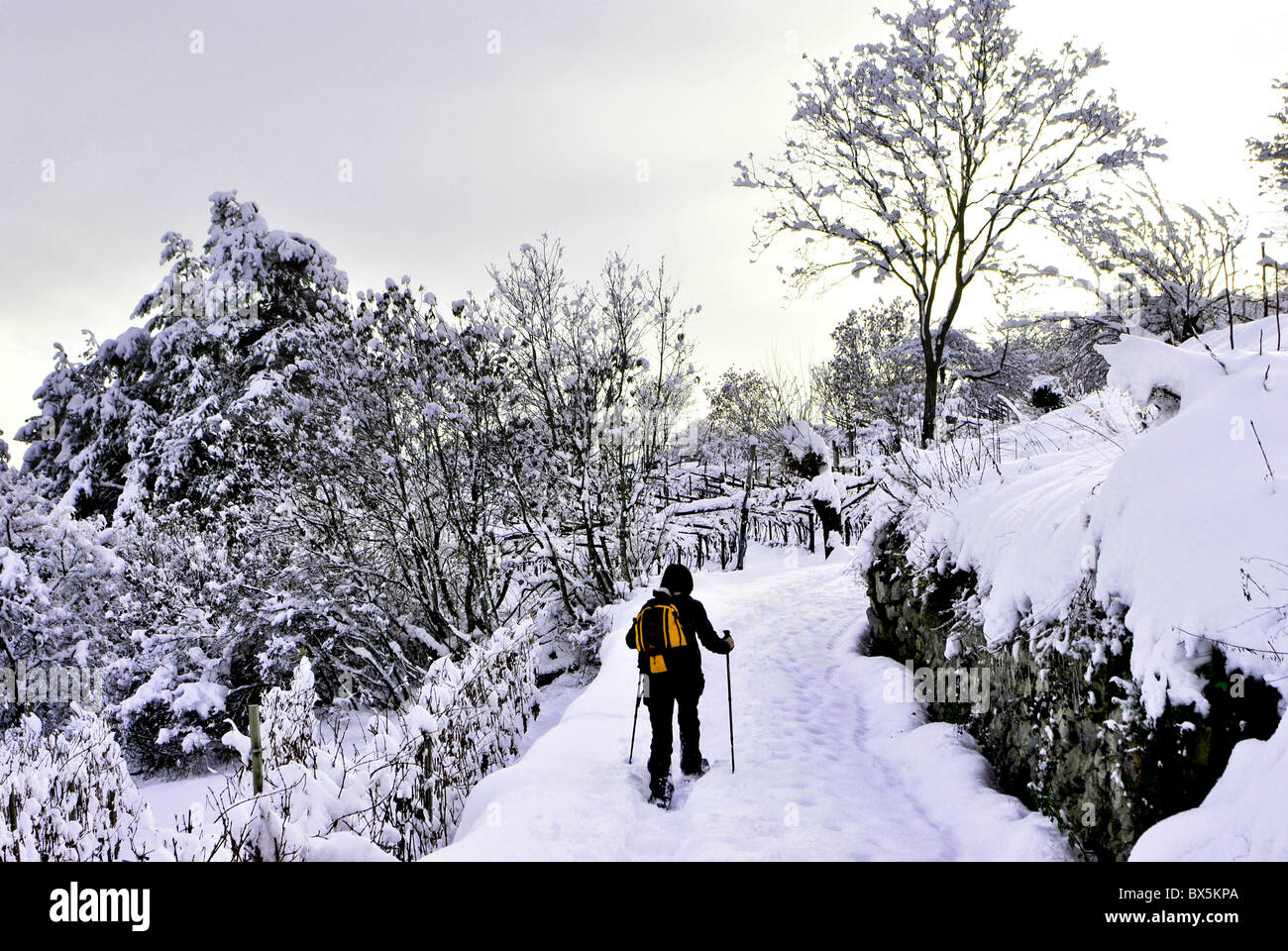 Snowshoes dolomites hi-res stock photography and images - Alamy