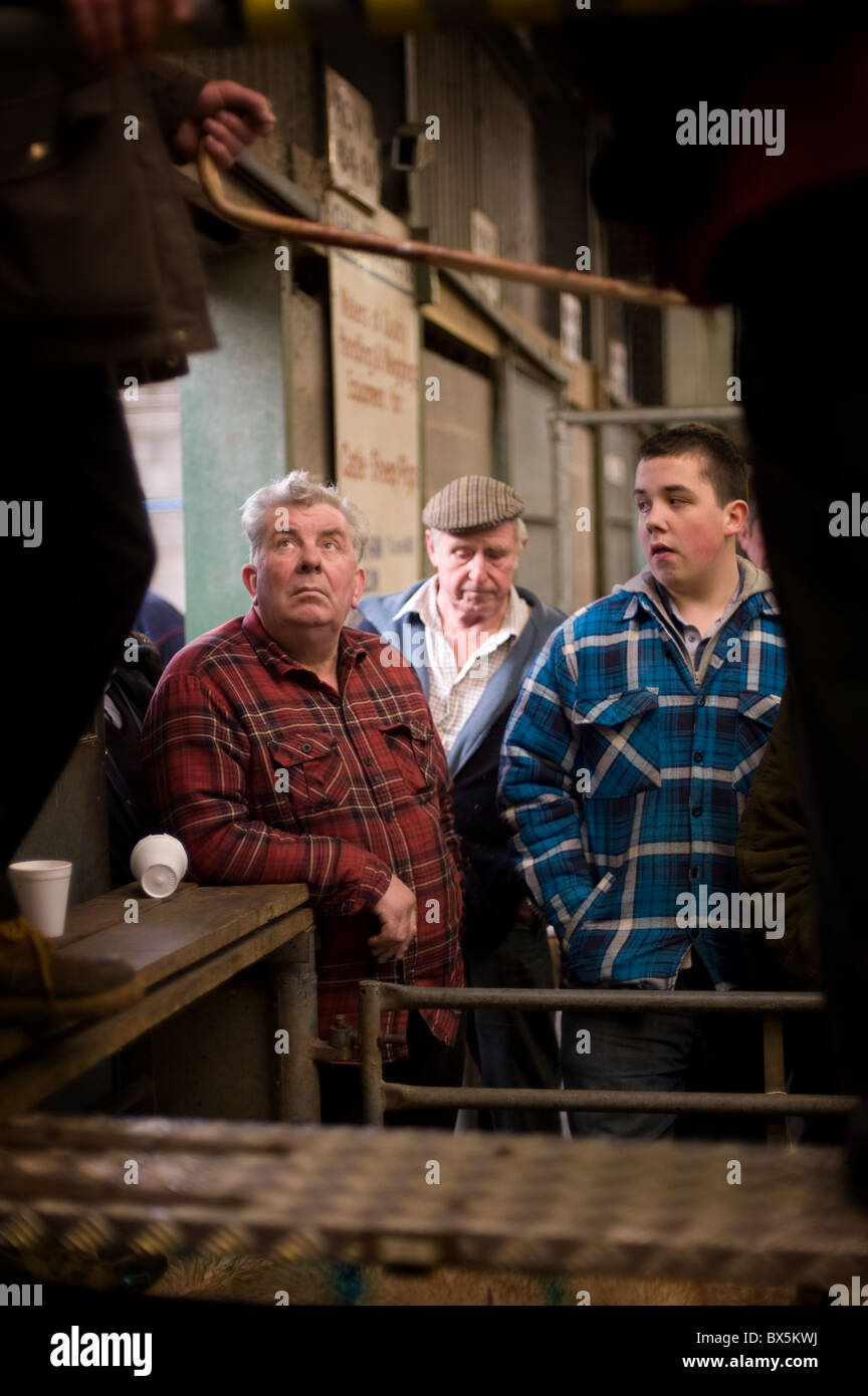 Farmers auction hi-res stock photography and images - Alamy