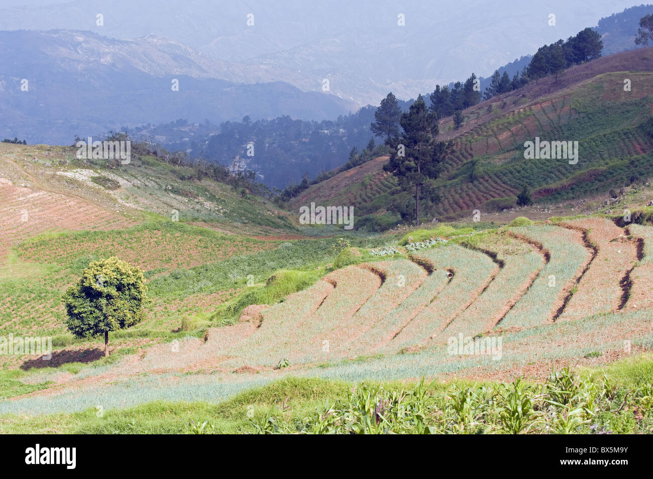 Kenscoff Mountains near Port au Prince, Haiti, West Indies, Caribbean ...