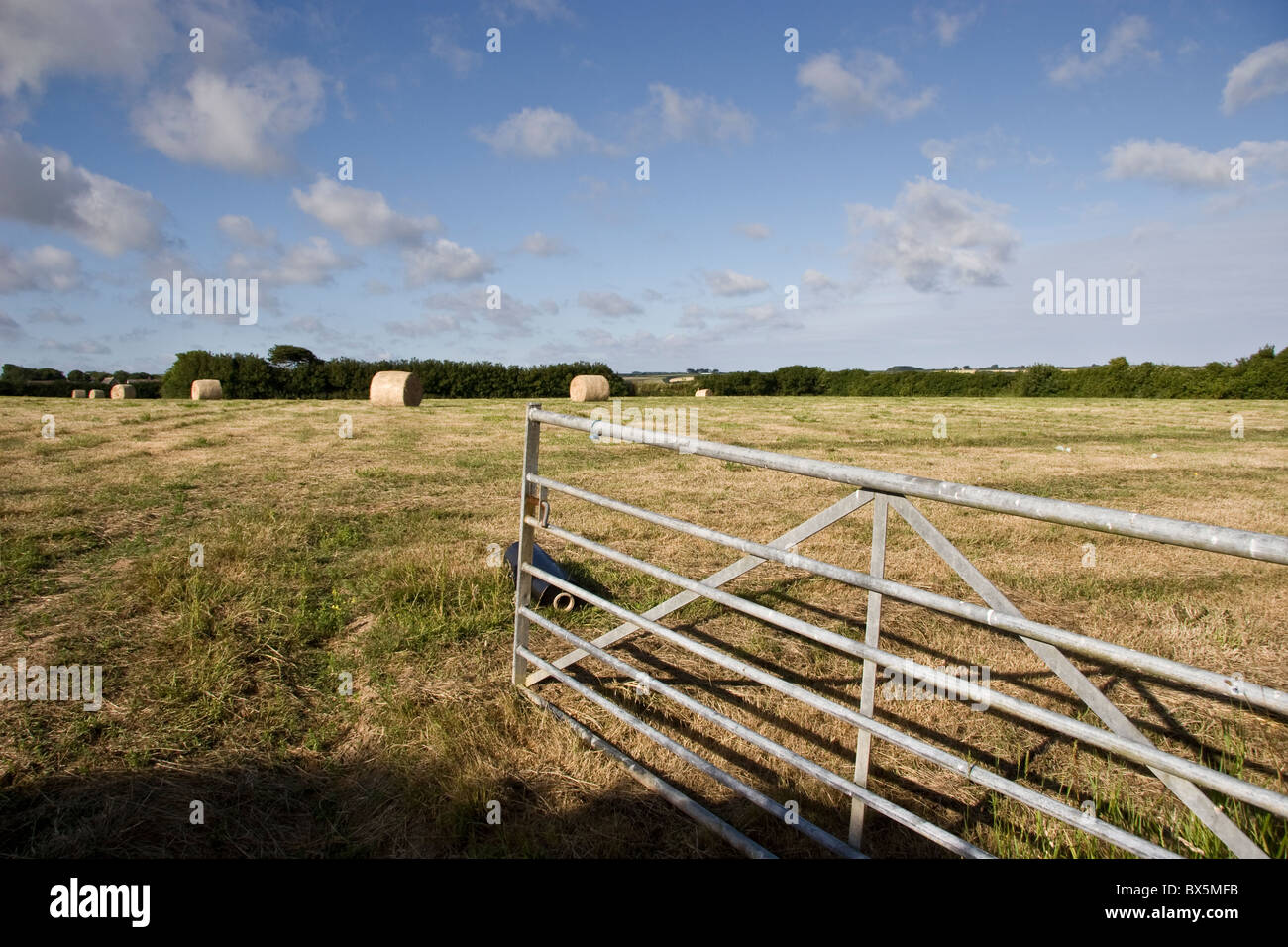 Opening into a field hi-res stock photography and images - Alamy
