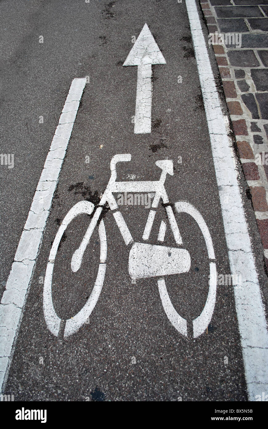road for bicycles surrounded by nature Stock Photo - Alamy