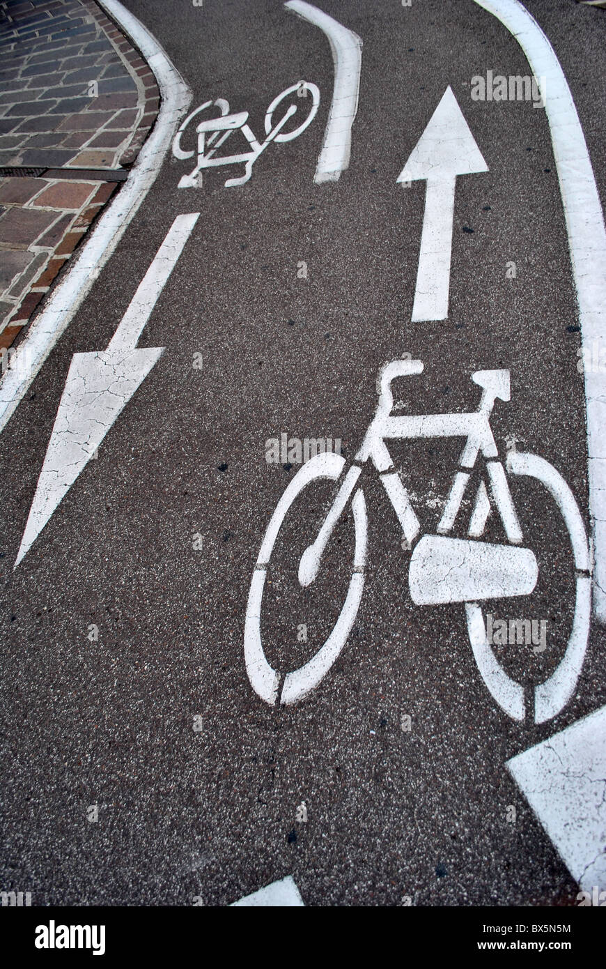road for bicycles surrounded by nature Stock Photo - Alamy