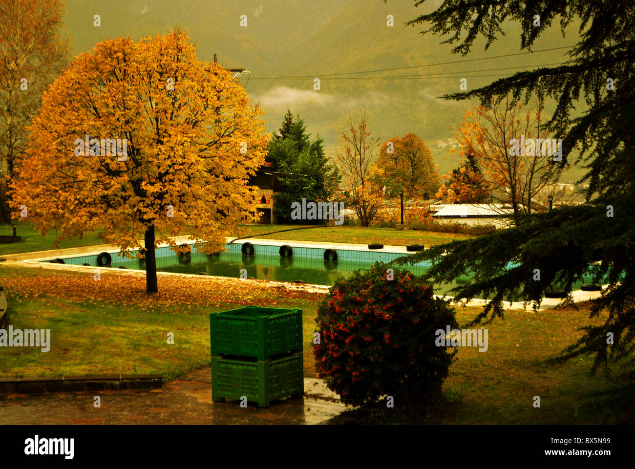 Swimming pool with autumn fruit trees Stock Photo - Alamy