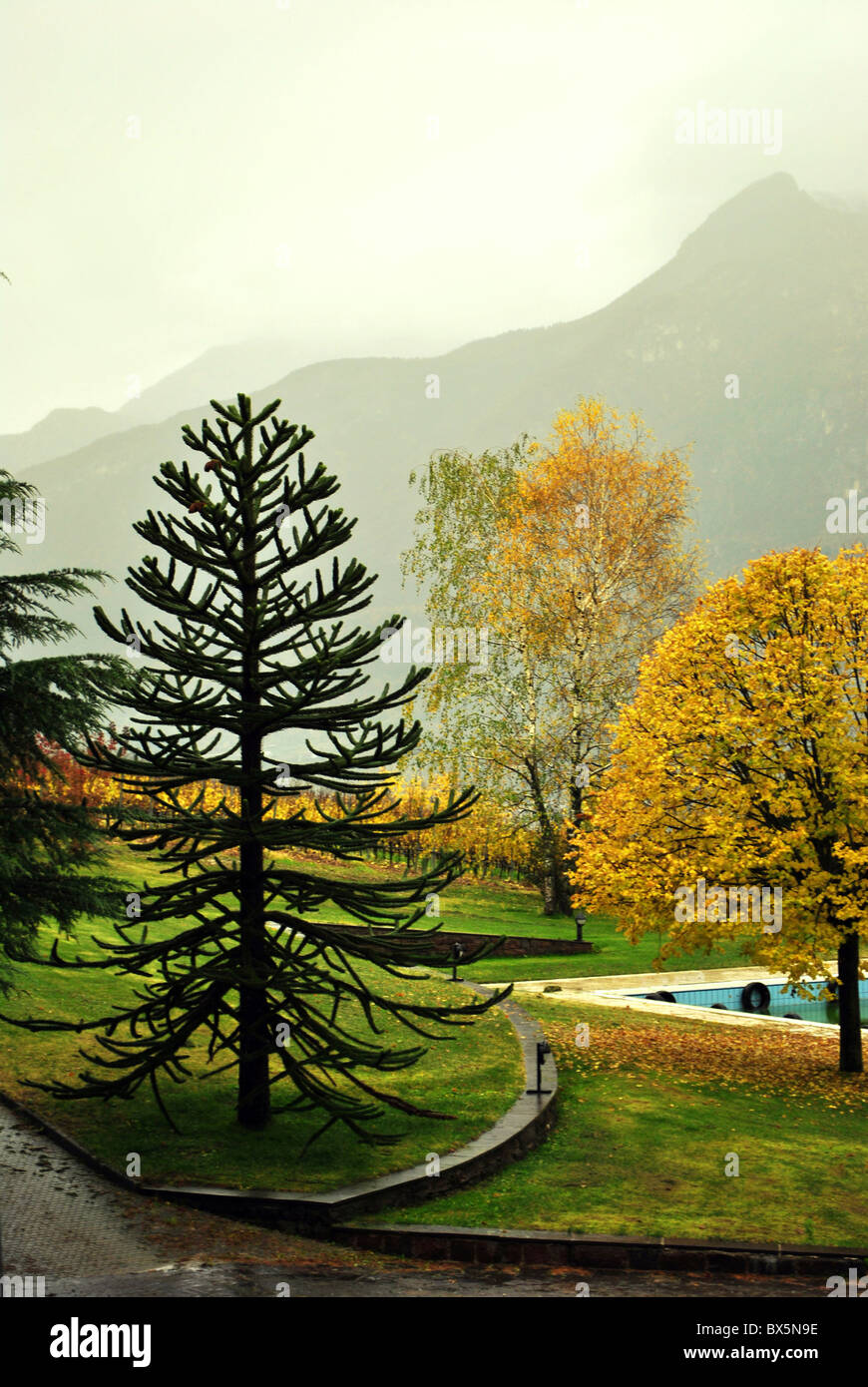 Swimming pool with autumn fruit trees Stock Photo - Alamy