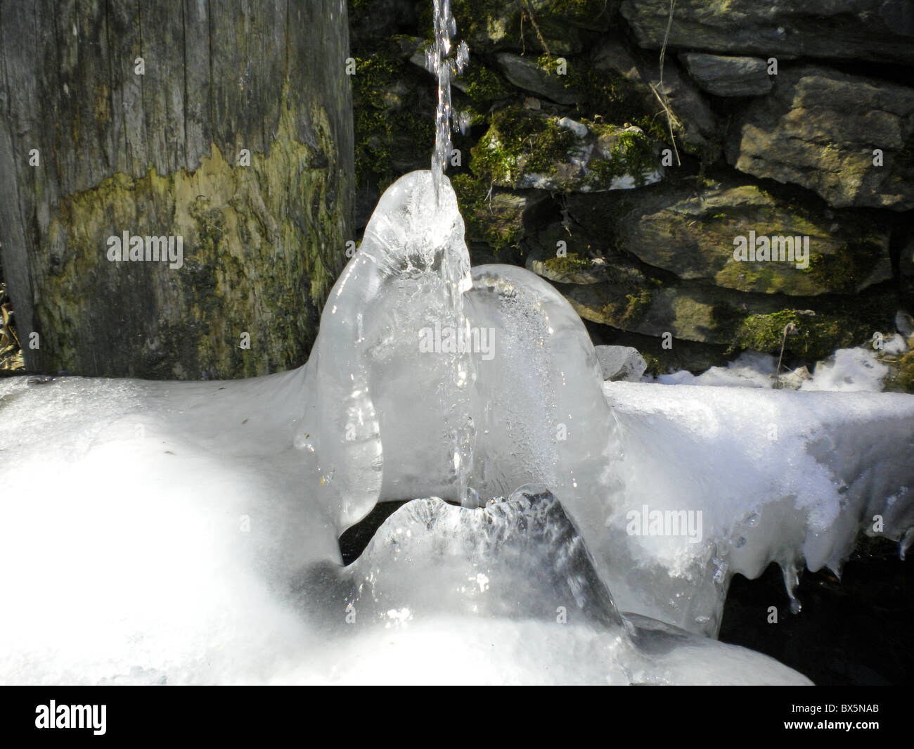 Icecubes in water hi-res stock photography and images - Alamy