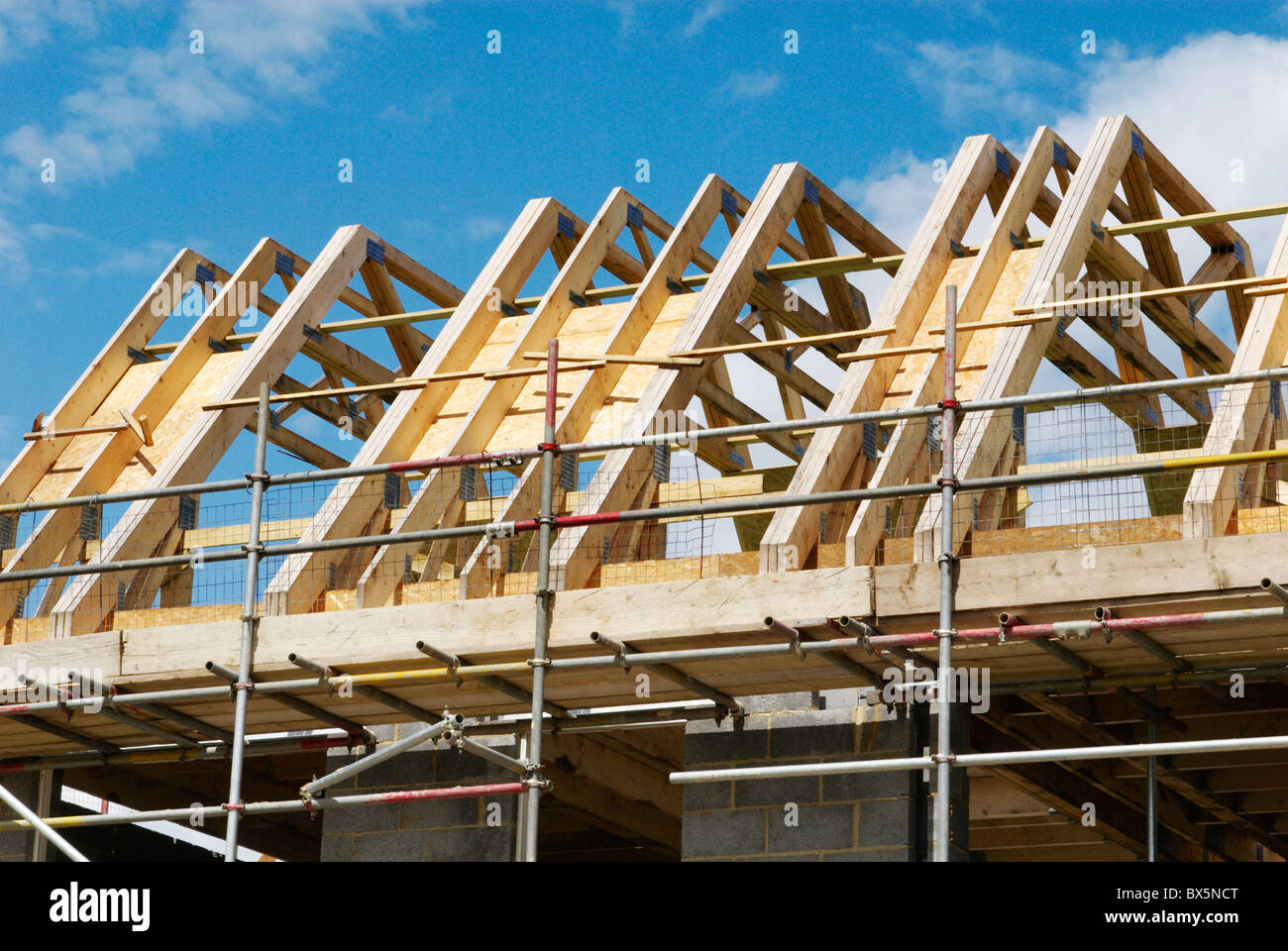 Timber structural beams of a house under construction Norwich Norfolk ...