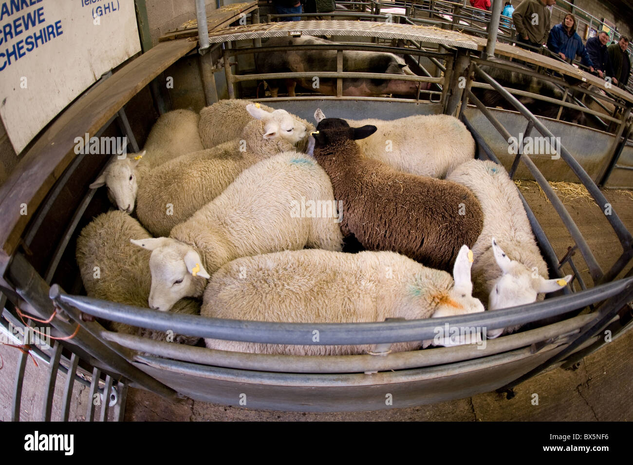 Chelford market hi-res stock photography and images - Alamy