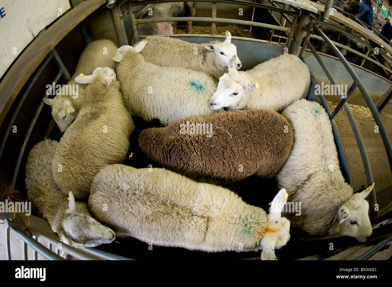 Chelford market hi-res stock photography and images - Alamy