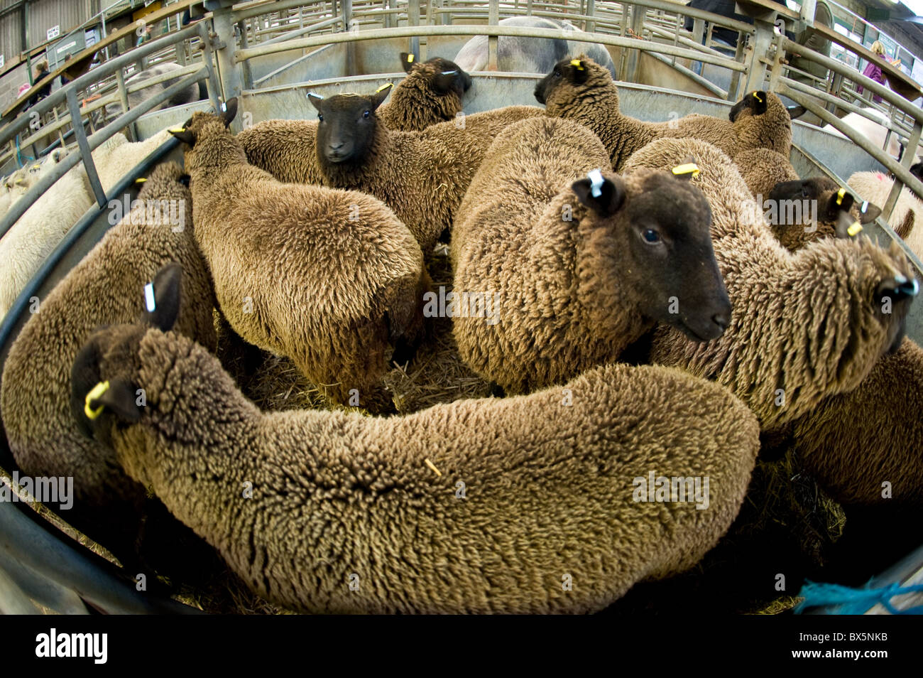 Chelford hi-res stock photography and images - Alamy