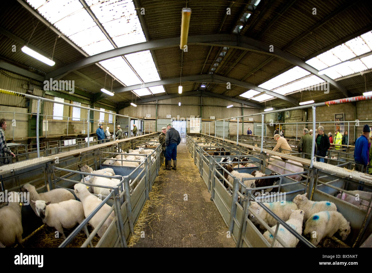 Chelford Market High Resolution Stock Photography and Images - Alamy