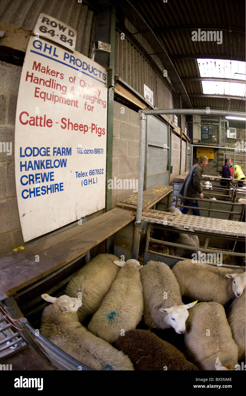 Chelford Market High Resolution Stock Photography and Images - Alamy