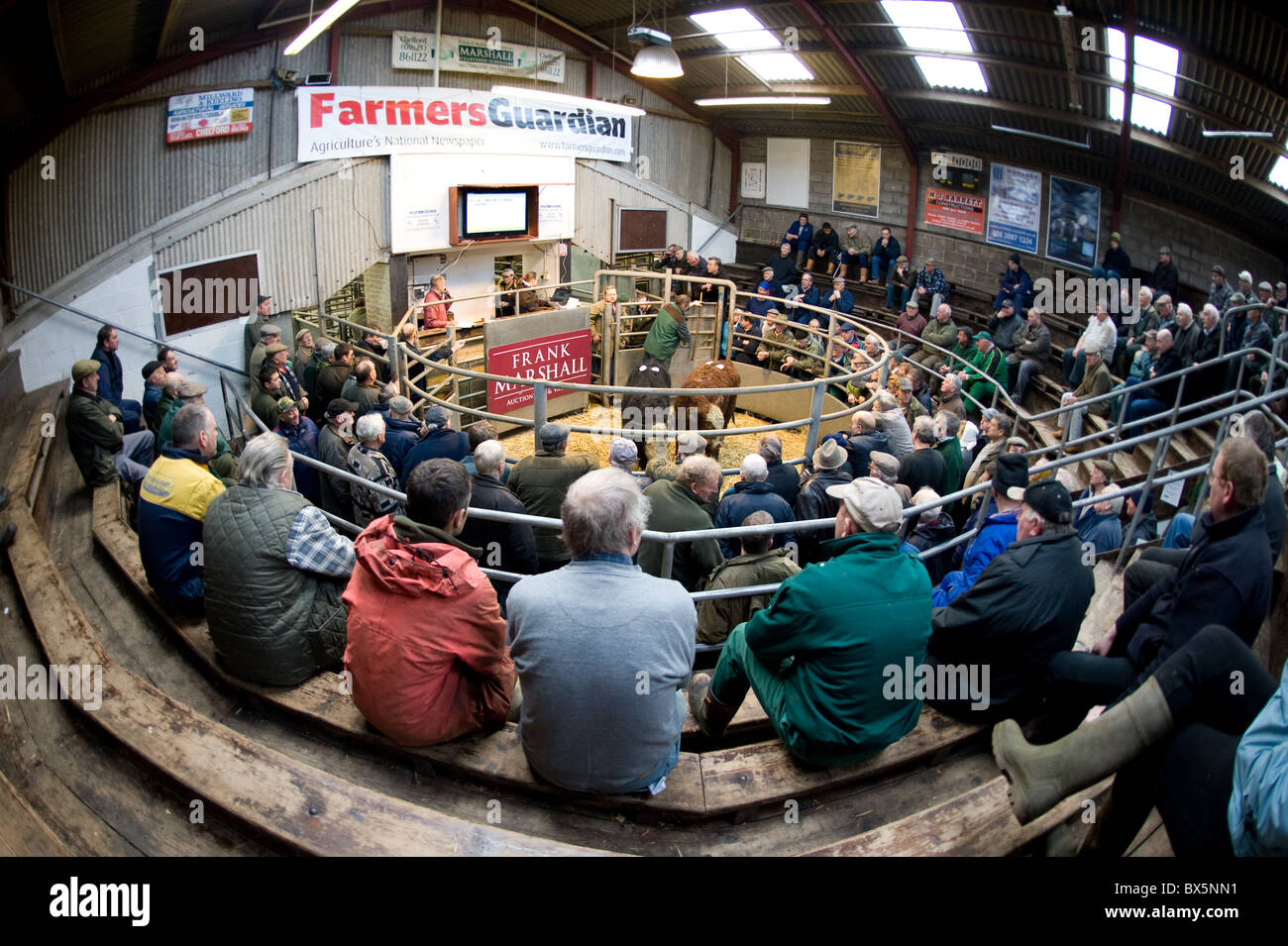 Chelford Market Auction room Stock Photo - Alamy